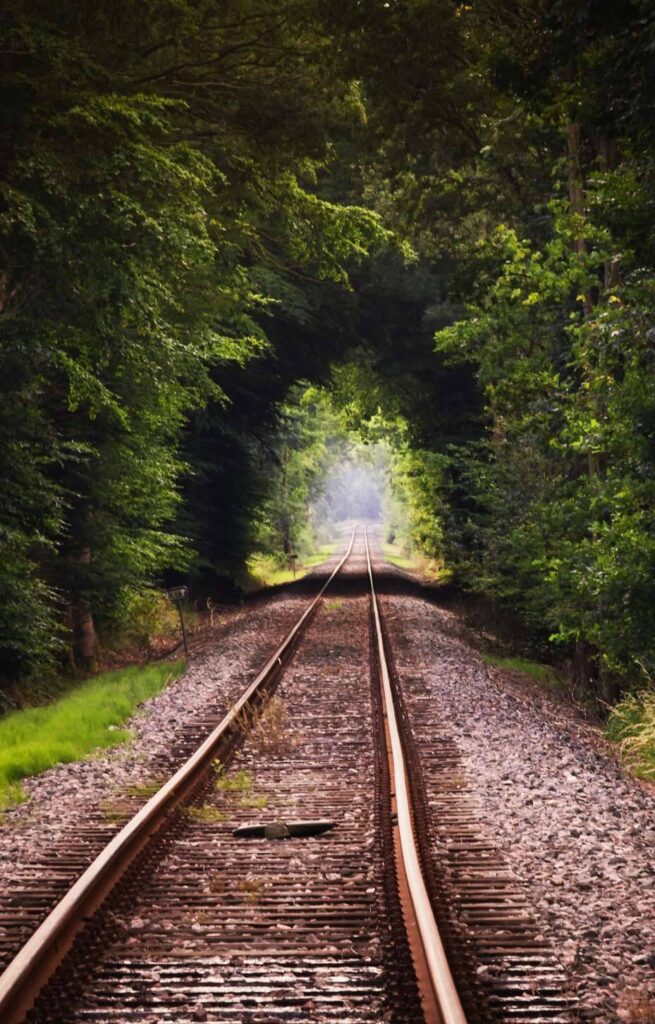 Case Study – Railway Operator – Setera